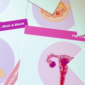 200+ Obstetrics & Gynecology Ultrasound Flashcards | OB/GYN Sonography ...