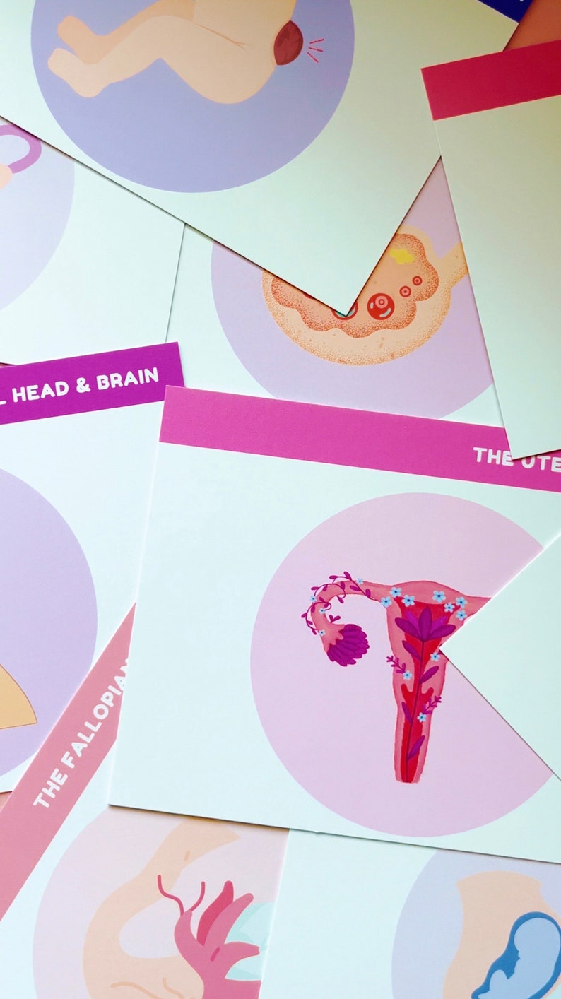 200 Obstetrics & Gynecology Ultrasound Flashcards OB/GYN Sonography ...