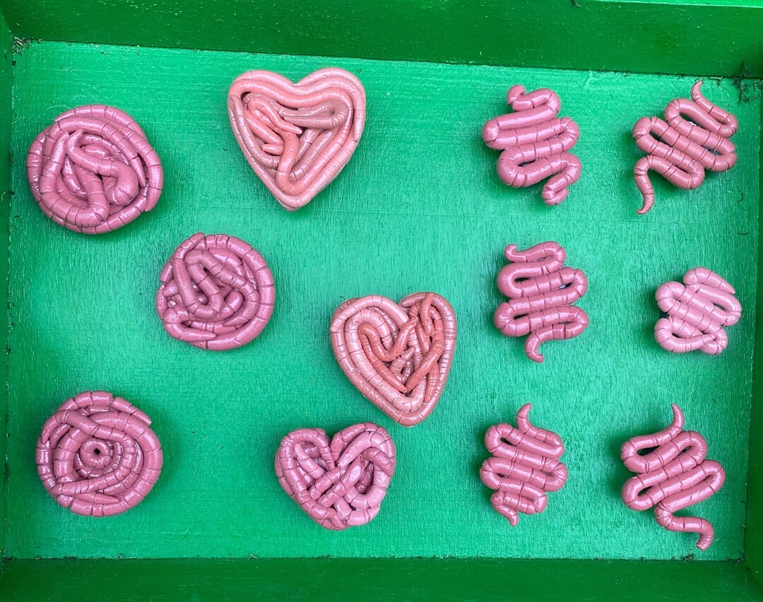 Worm Magnet Refrigerator Magnets Home Decor Bug Decorations - Etsy