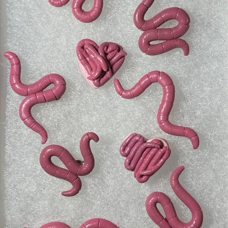 Clay Worm - Etsy