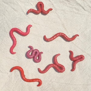 Worm Pin Badge | Bug Pins | Realistic Worm Pin - Etsy