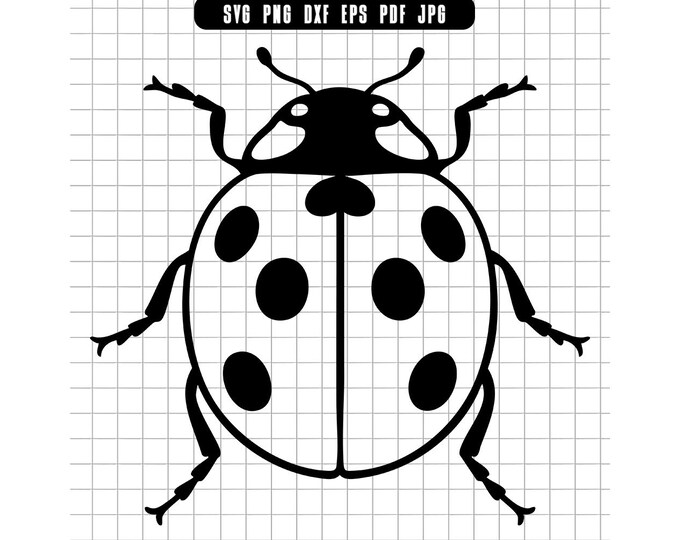 Lady Bug SVG PNG JPG, Insect Svg, Bug Svg, Preschool or Kindergarten ...