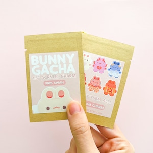 Bunny Gacha [series 1] Random Acrylic Keychain | Double-sided Kawaii ...