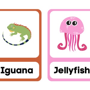 Printable Kids A-Z Flashcards - Animal Theme, Digital Download 11in X 8 ...
