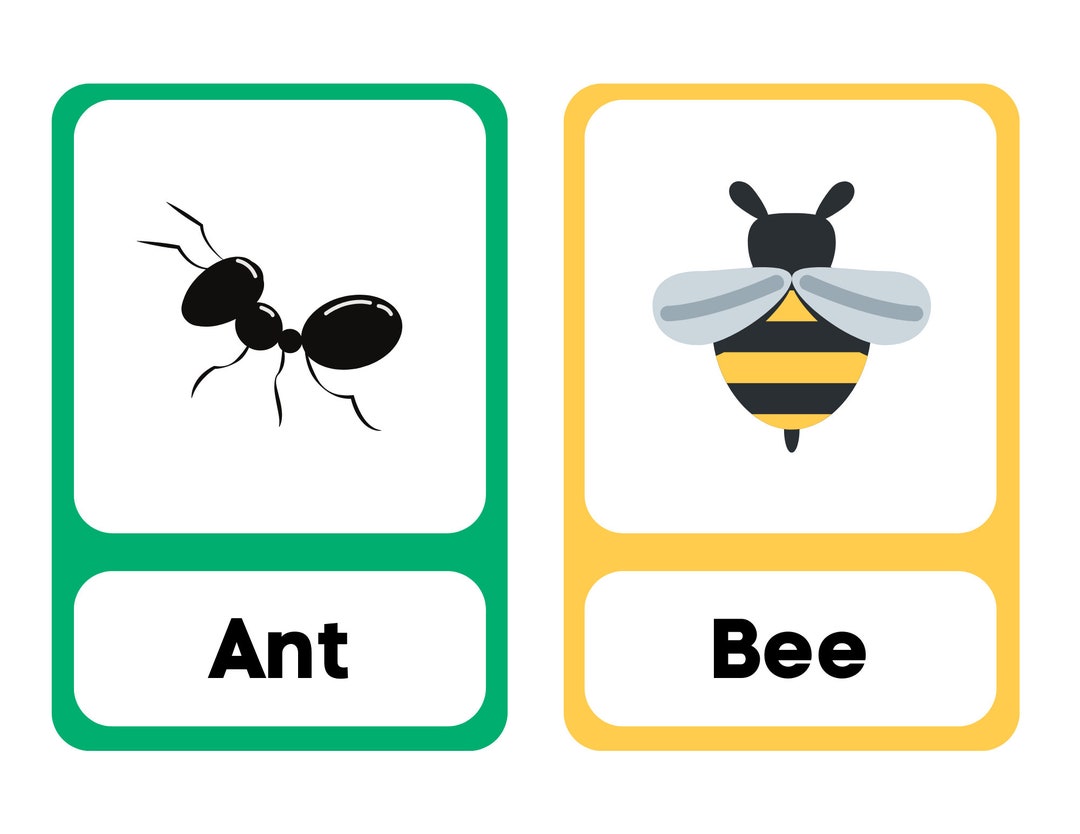 Printable Kids A-Z Flashcards - Animal Theme, Digital Download 11in X 8 ...