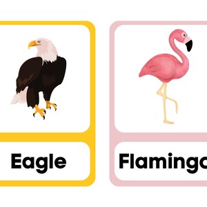 Printable Kids A-Z Flashcards - Animal Theme, Digital Download 11in X 8 ...