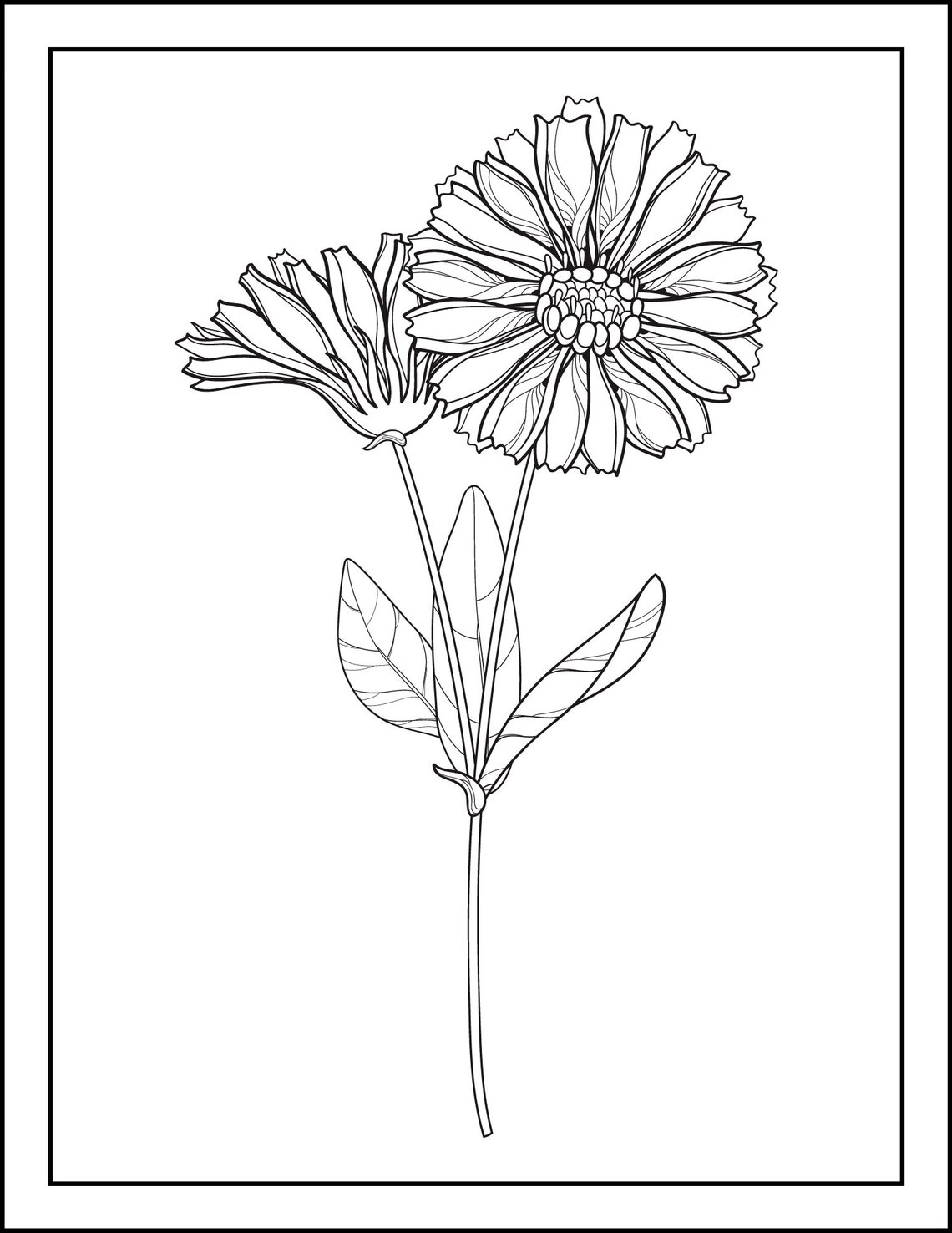 Printable Flower Themed Coloring Pages, for Adults or Kids Digital ...