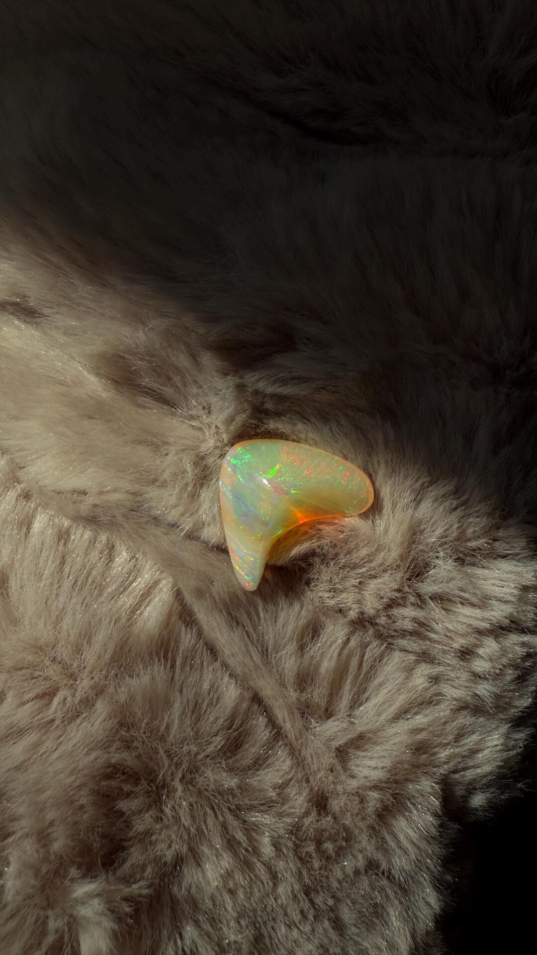 11.35ct Brazilian Shark Tooth Opal – Rainbow Play-of-color | Lightning ...