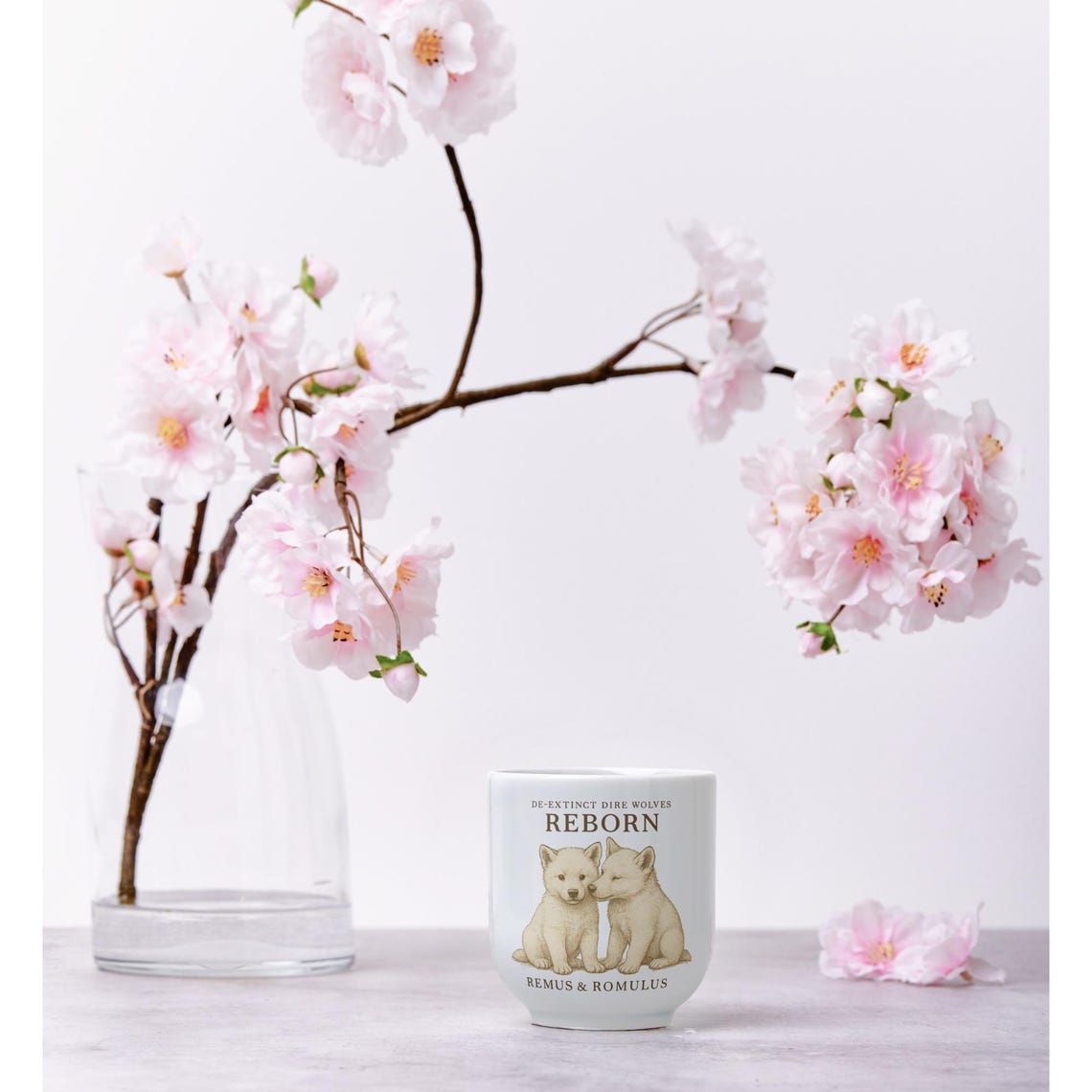 Remus and Romulus, Dire Wolfs Png, De-extinct Png, Vintage, Reborn ...