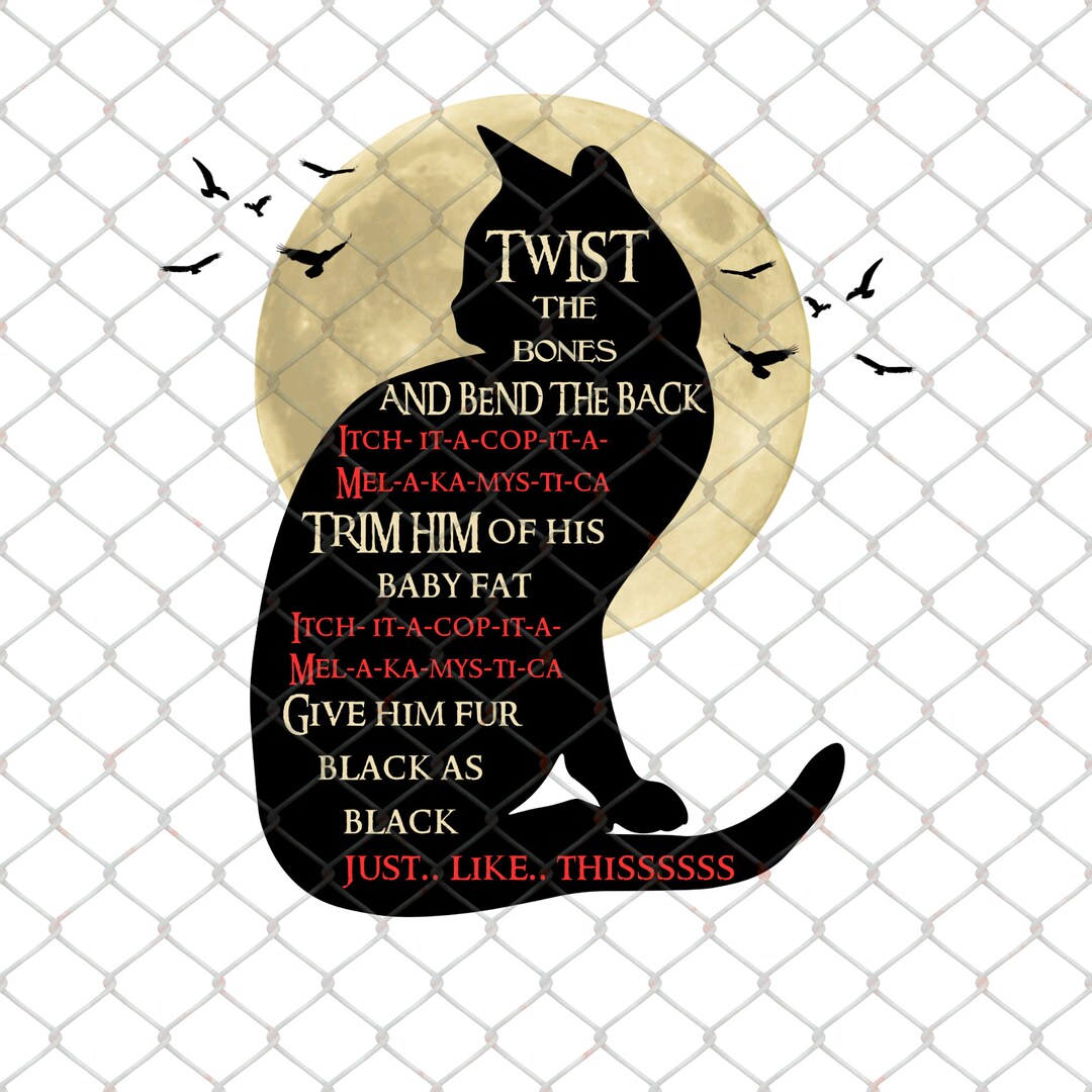 Hocus Pocus PNG Hocus Pocus svg Binx png Hocus Pocus Spell - Etsy France