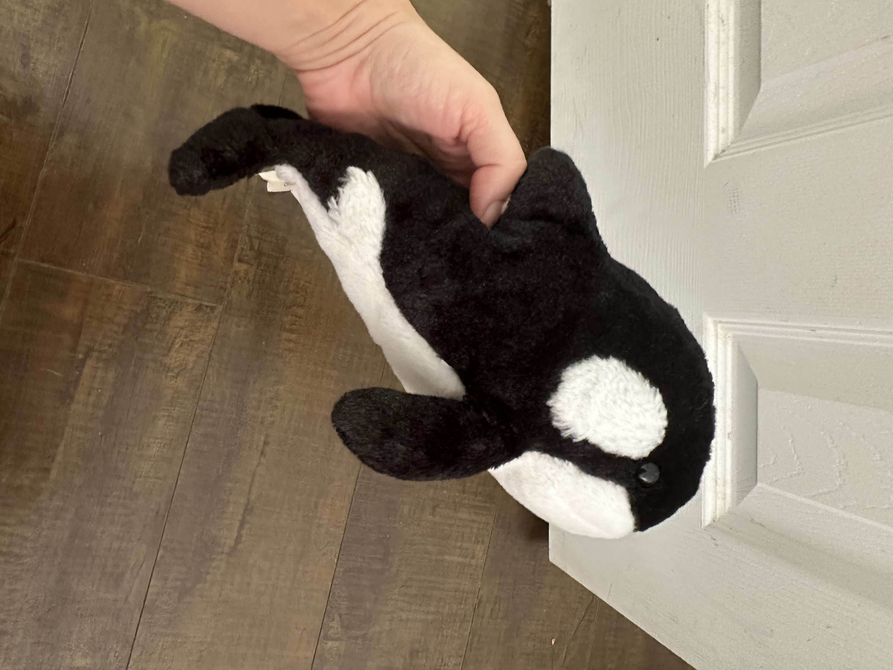 Webkinz Ganz Orca Whale Plush Stuffed Animal Toy 11 Inch No Code Tag - Etsy
