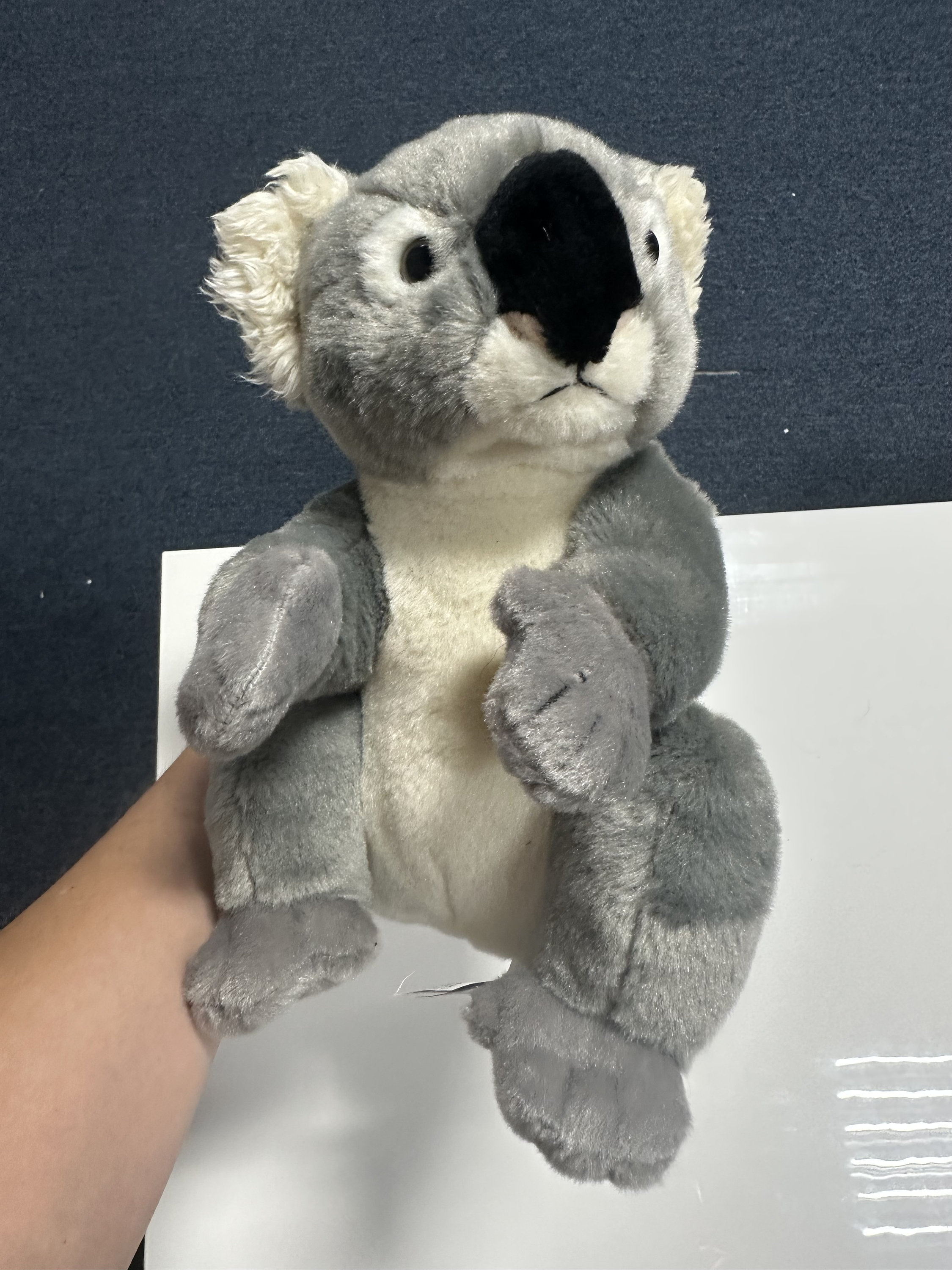 National Geographic Koala Plush 9 Inch - Etsy