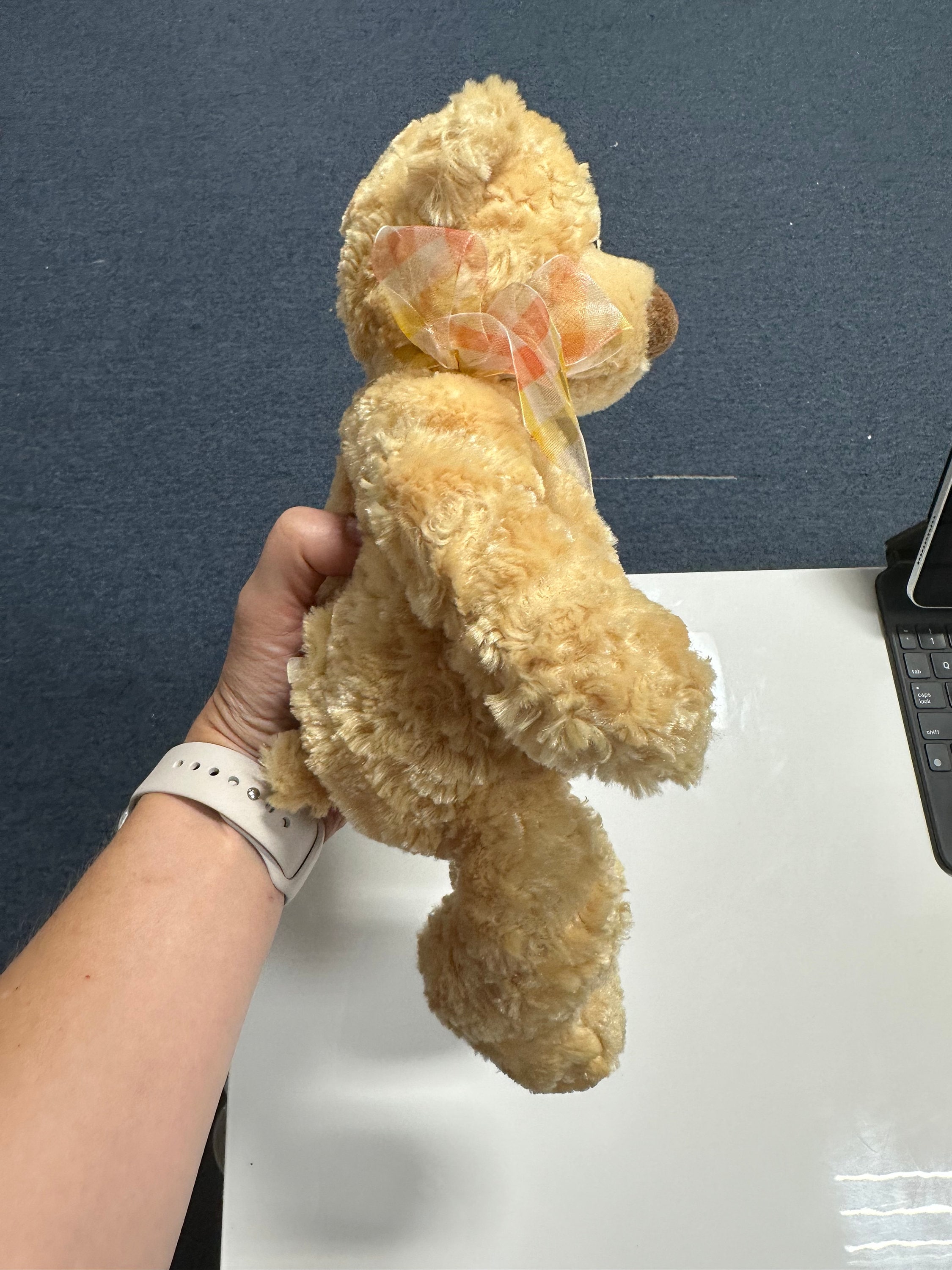 Gund Bear Manni Plush 13 Inch - Etsy