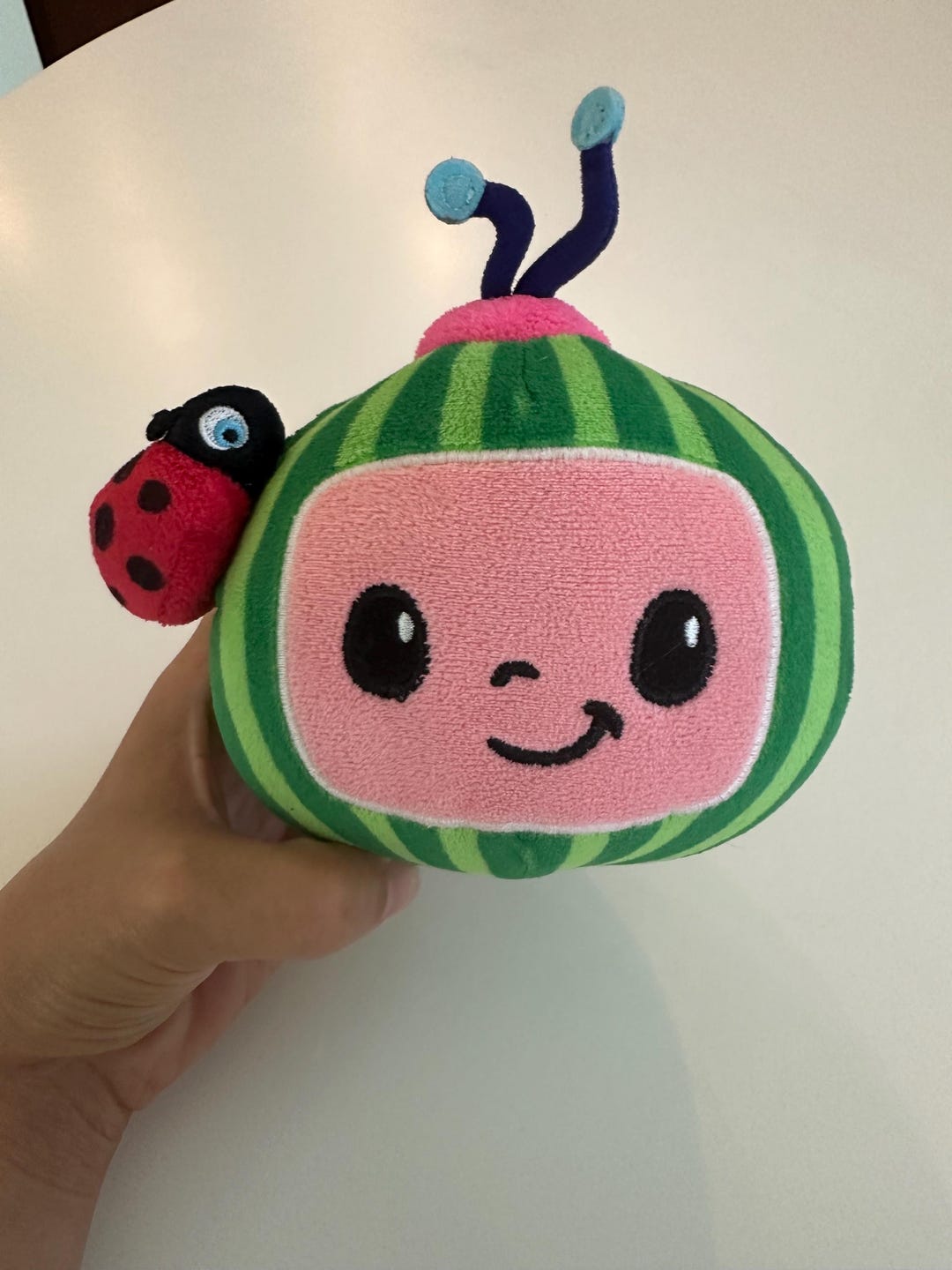Cocomelon Watermelon Plush Stuffed Animal Toy 6 Inch - Etsy