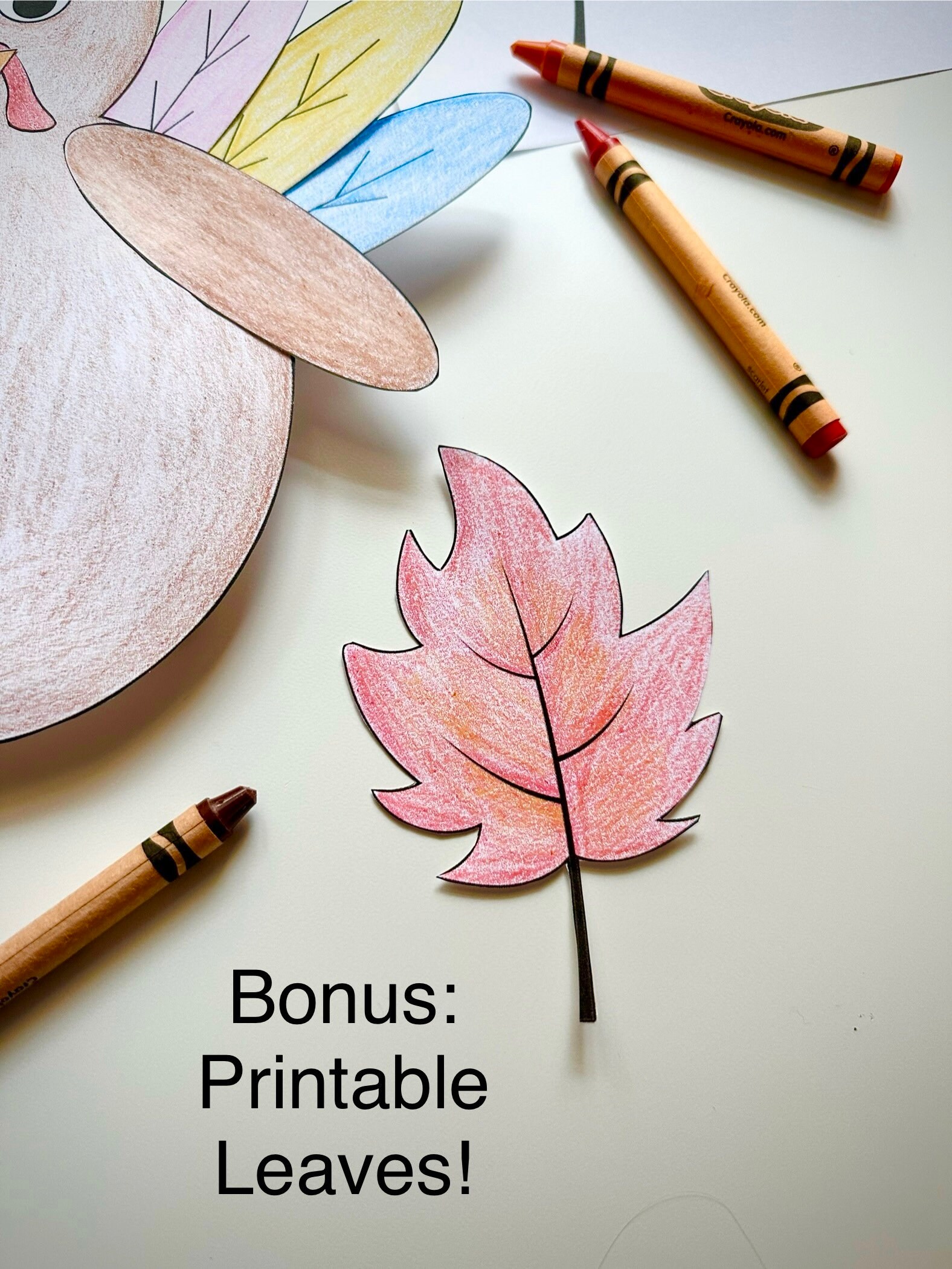 Easy, Last-minute DIY Thanksgiving Turkey Craft - Decorate a Turkey ...