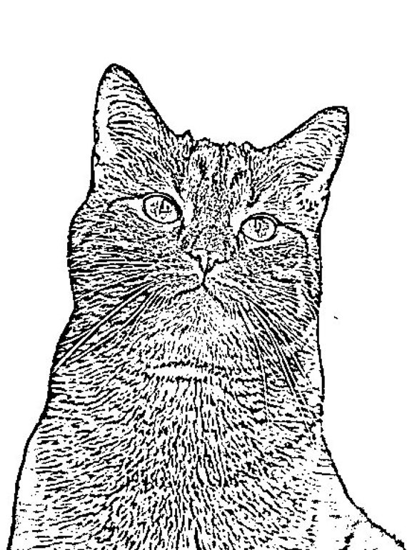 Printable Coloring Pages Stargazing - Etsy