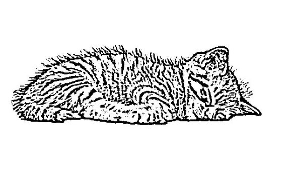 Coloring Pages Of Naptime