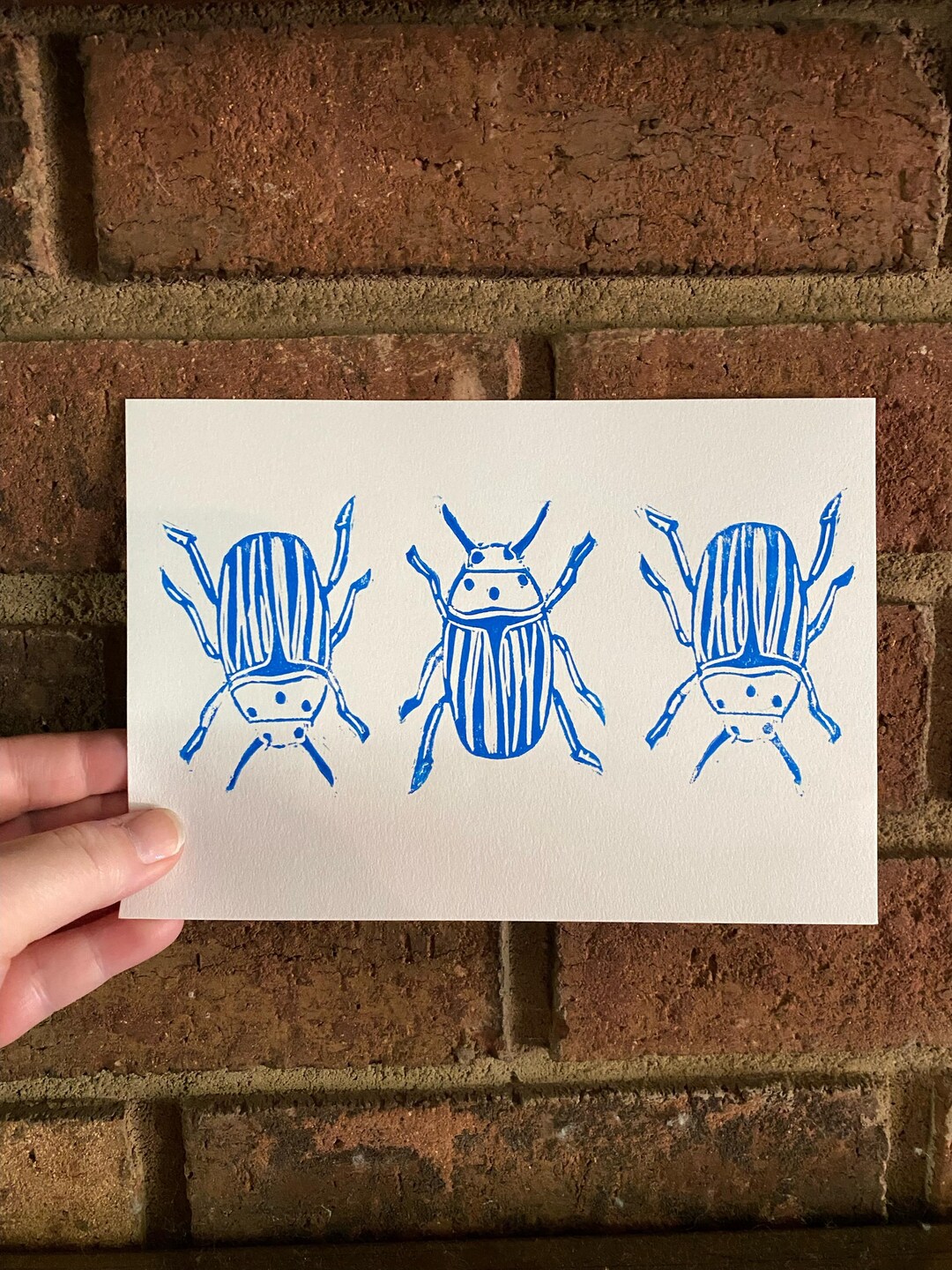 Beetle Lineup Print- Linocut, Ink Print, Handmade Art - Etsy