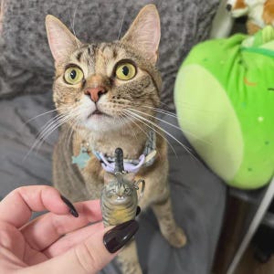 Custom Hand-painted Cat Miniature | Personalized Pet Figurine | One-of ...