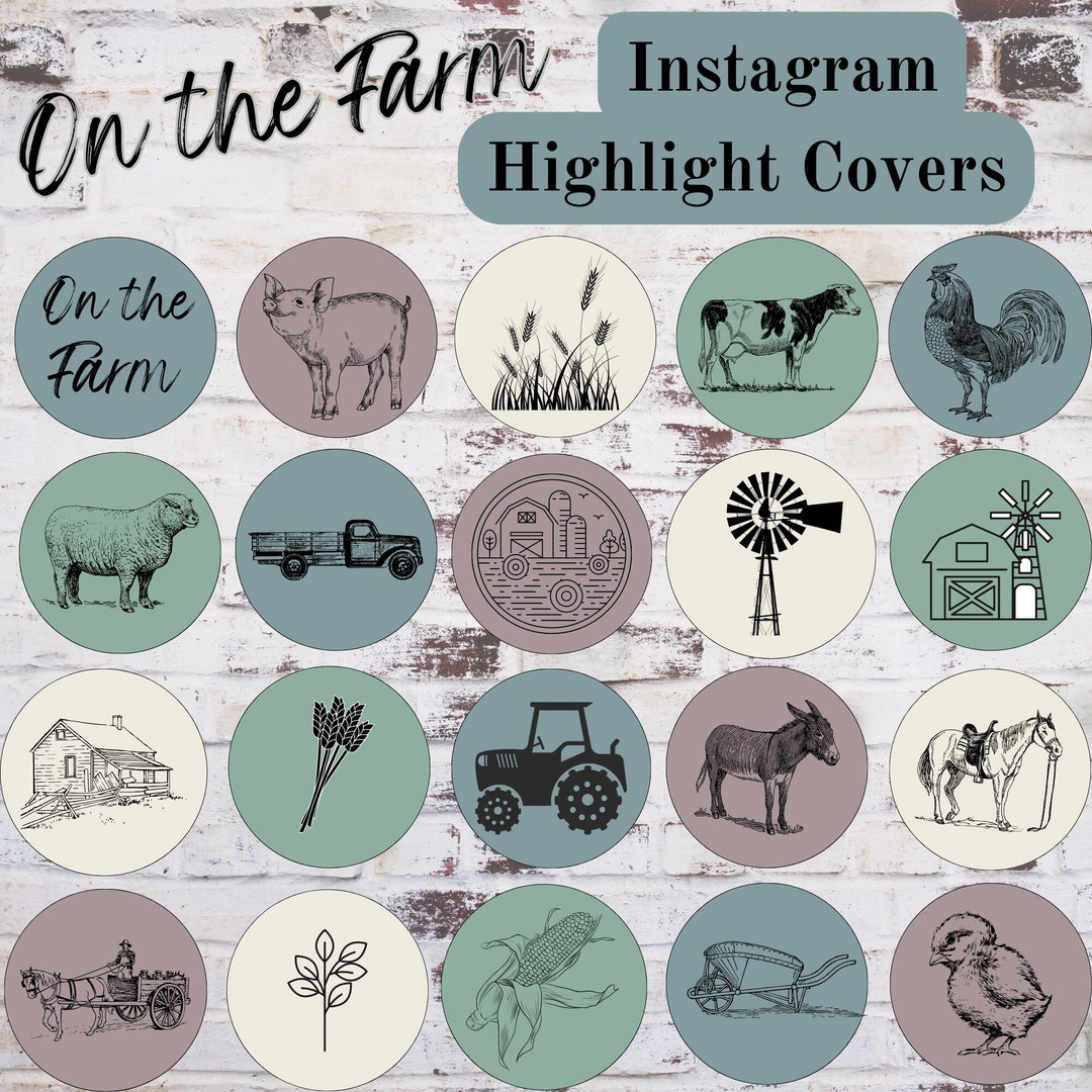 20 on the Farm Instagram Highlight Covers | Pigs | Cows | Chickens ...