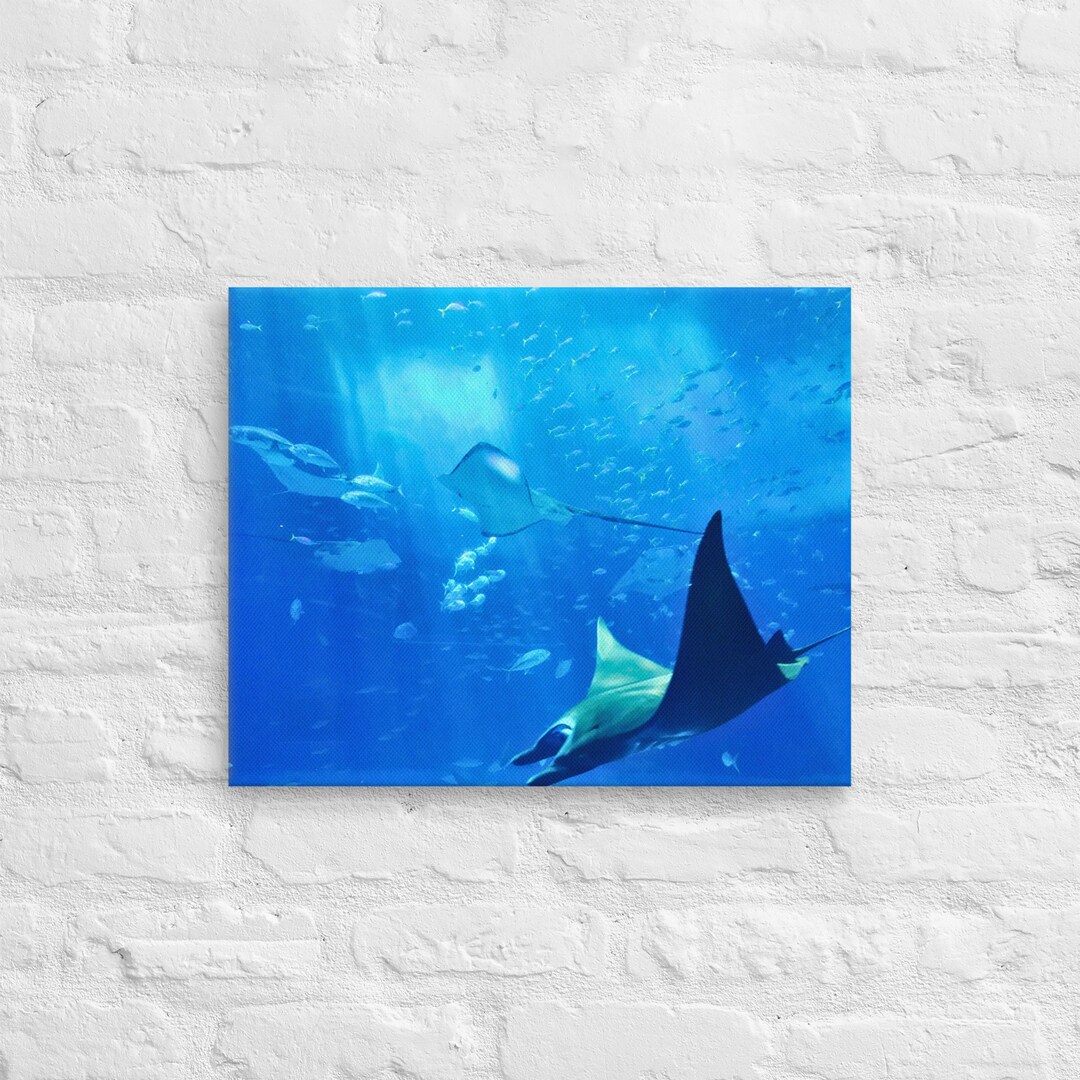 Stingray Art, Stingray, Stingray Wall Art, Stingray Canvas, Marine Life ...