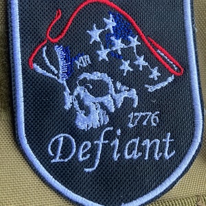 Defiant 1776 Skull Patch - Etsy
