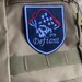 Defiant 1776 Skull Patch - Etsy