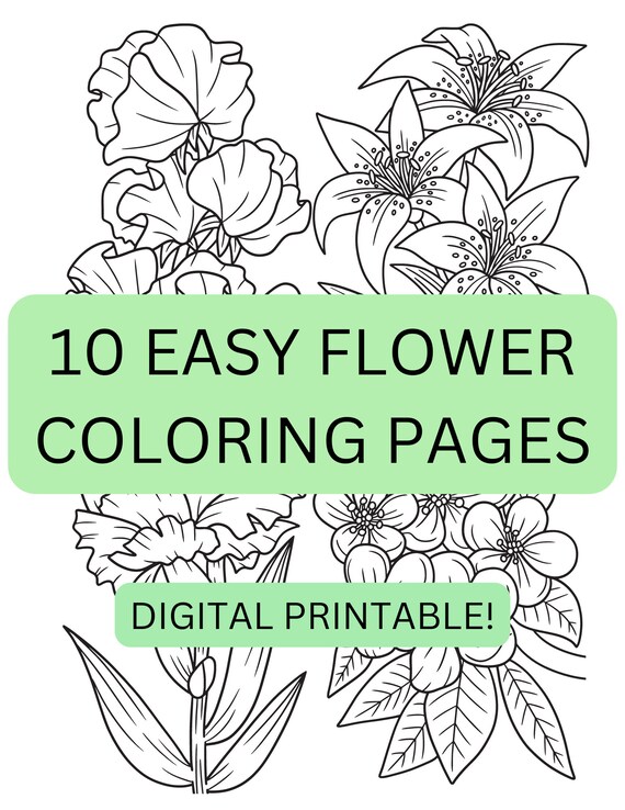 10 Simple Easy to Color Flower Coloring Pages Digital - Etsy