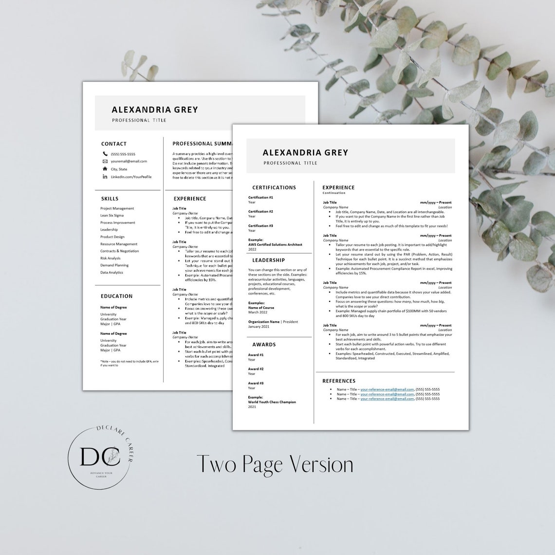 Resume Template AST Friendly, Resume Template for Students, Resume ...