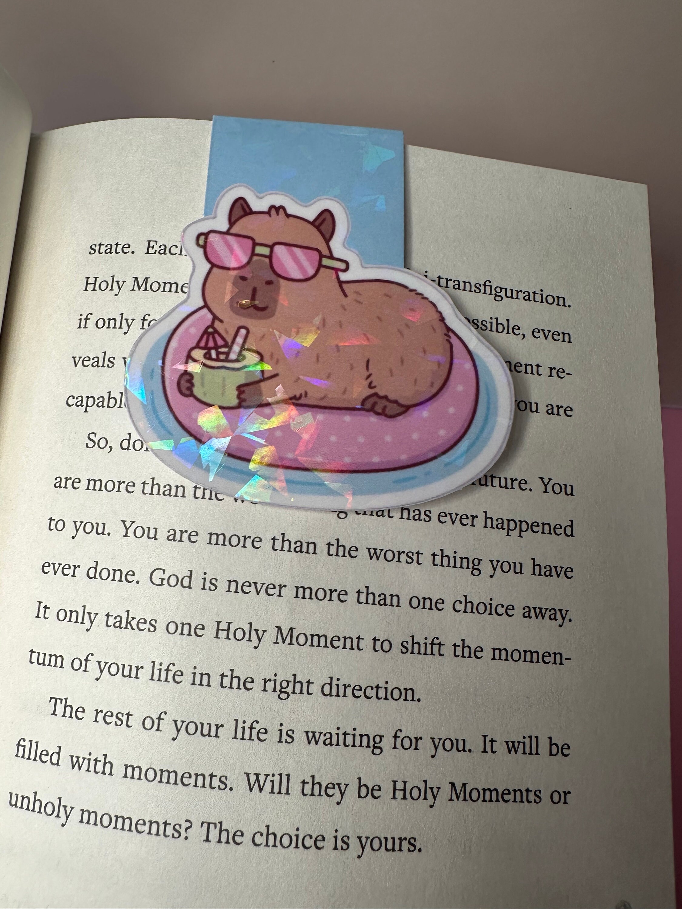 Capybara Magnetic Bookmarks,capybara Holographic Bookmarks,book ...