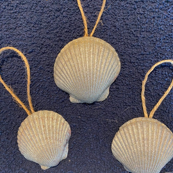 Seashell Ornaments - Etsy