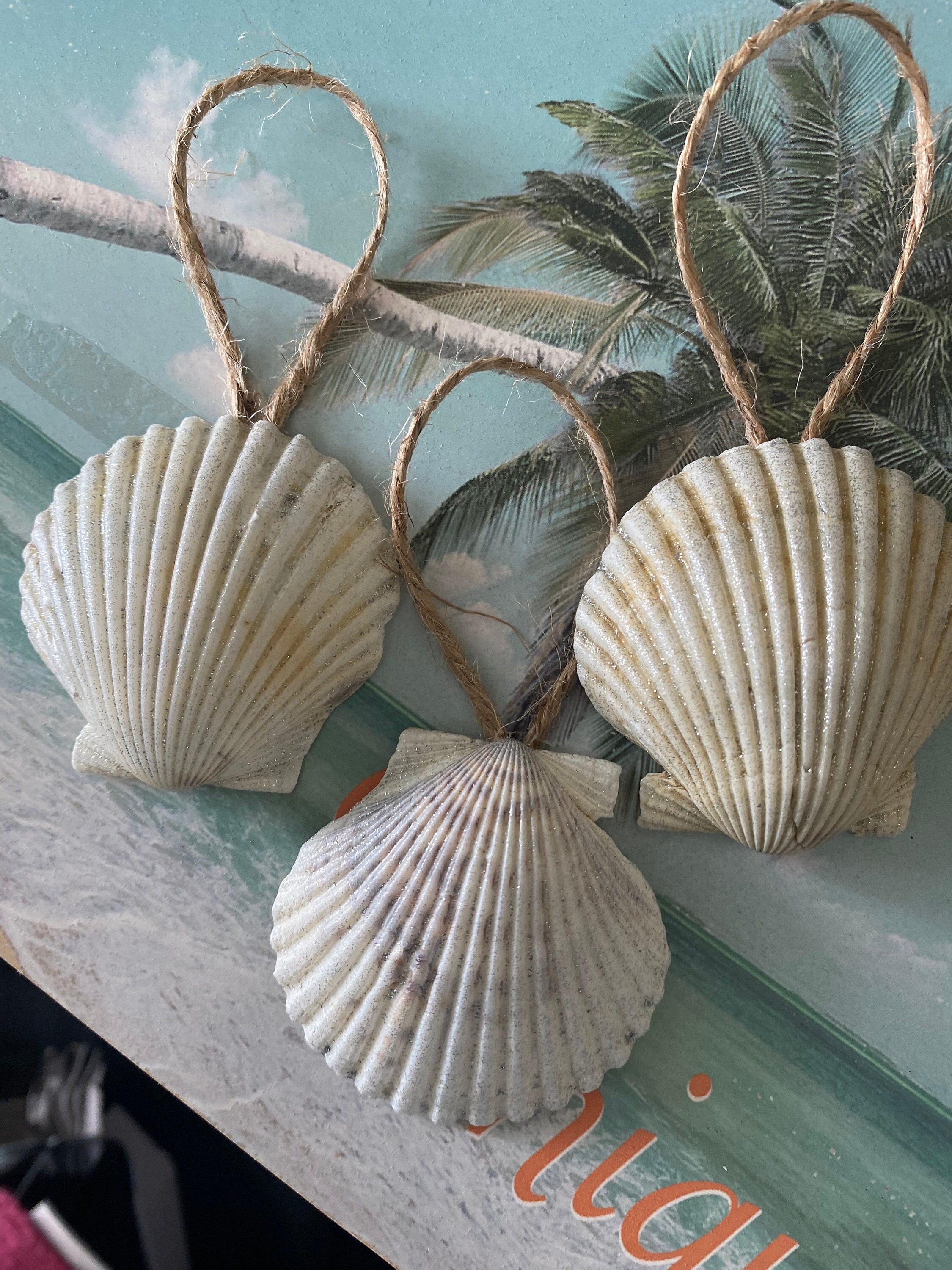 Seashell Ornaments - Etsy