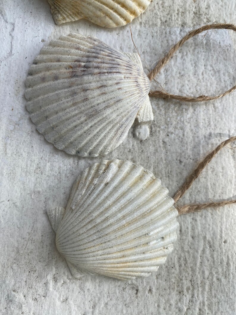 Seashell Ornaments - Etsy