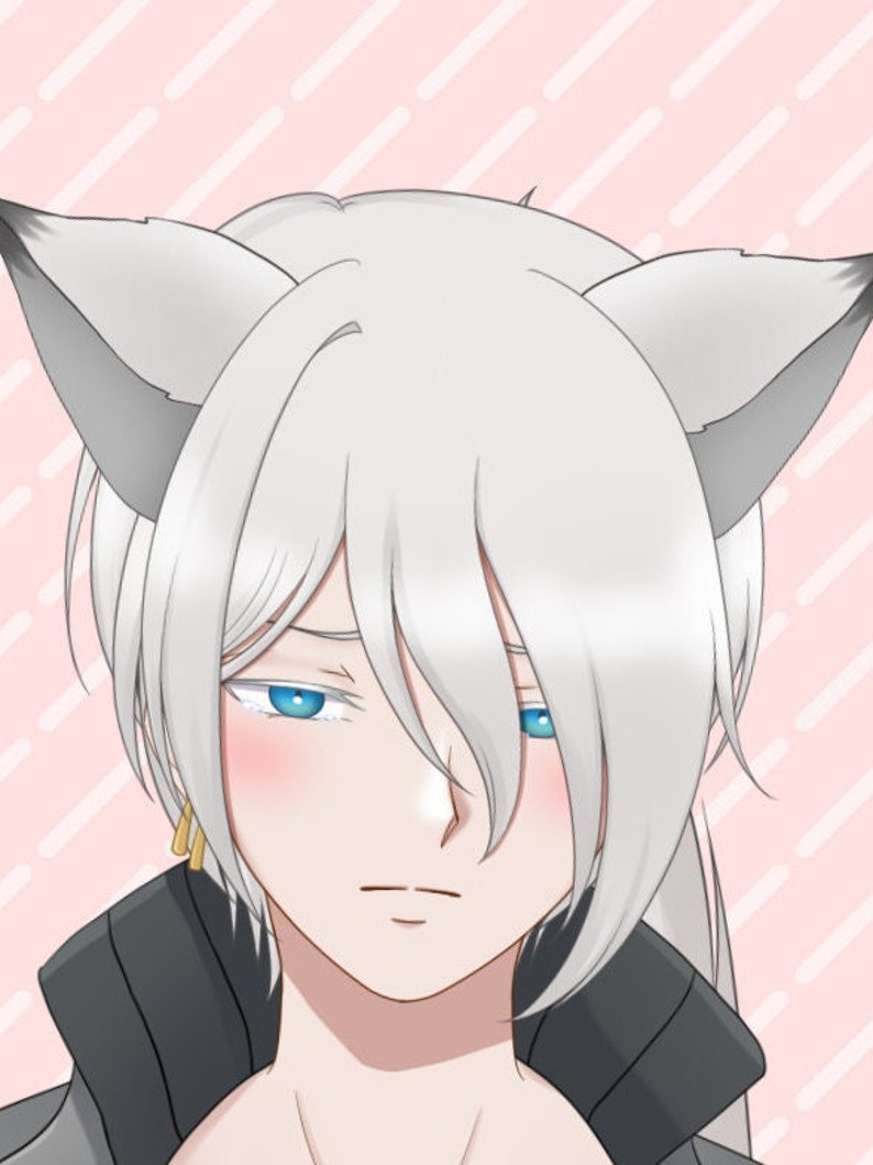 Male Fox Live2d Vtuber Model - Etsy
