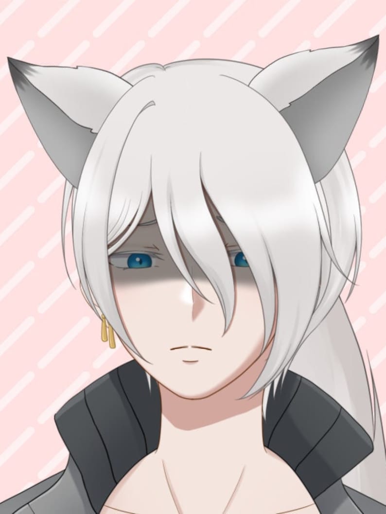 Male Fox Live2d Vtuber Model - Etsy Canada