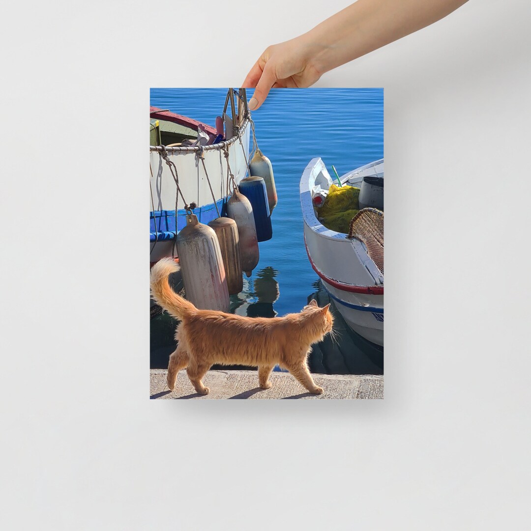 Catwalk Poster - Etsy