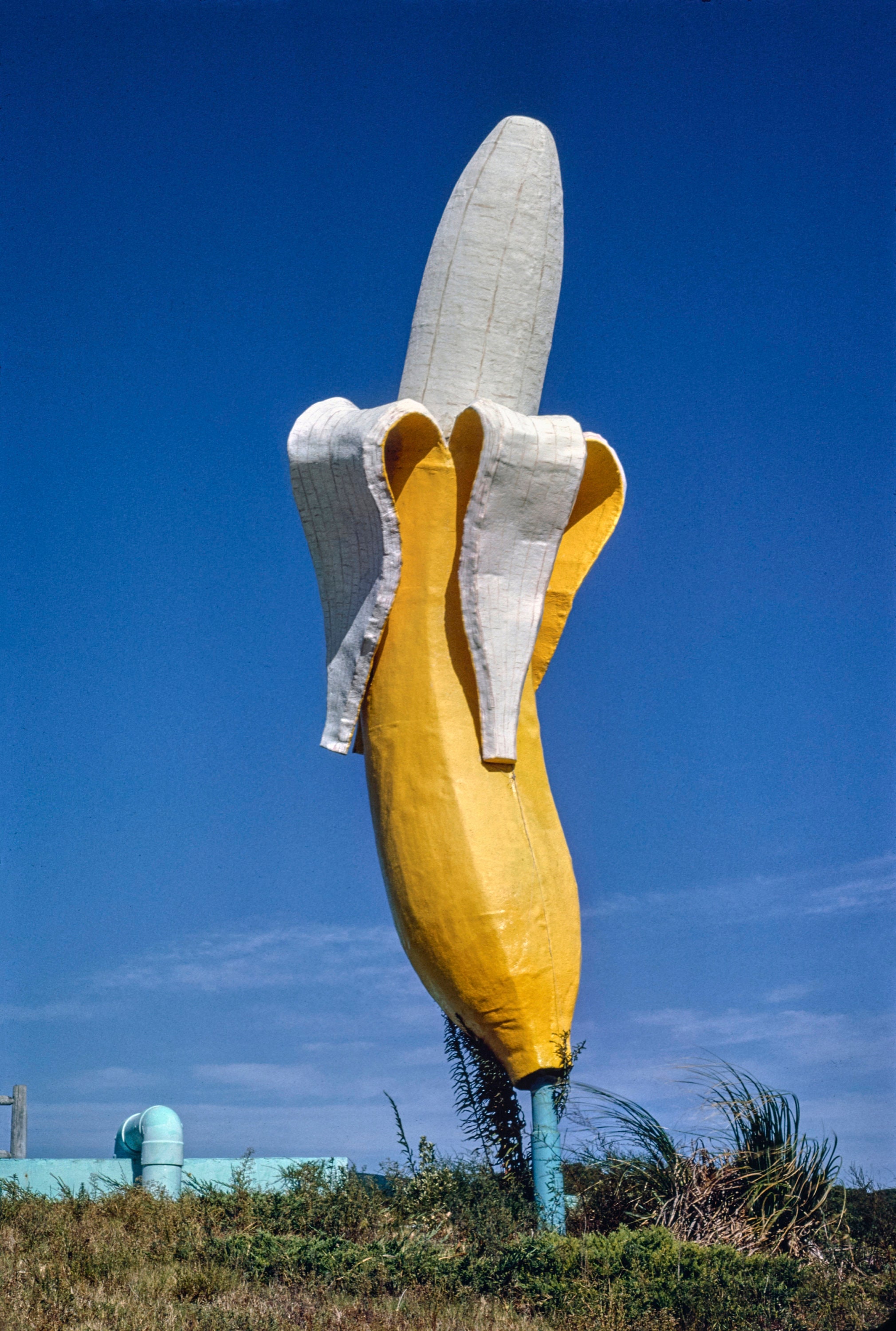 Banana Statue - Etsy