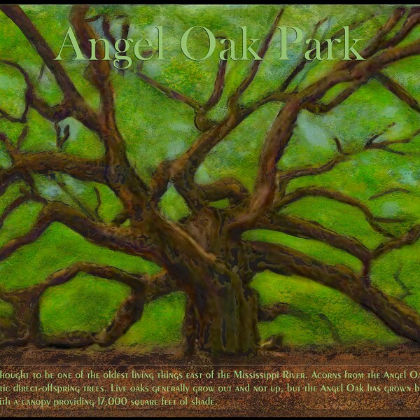 Angel Oak - Etsy