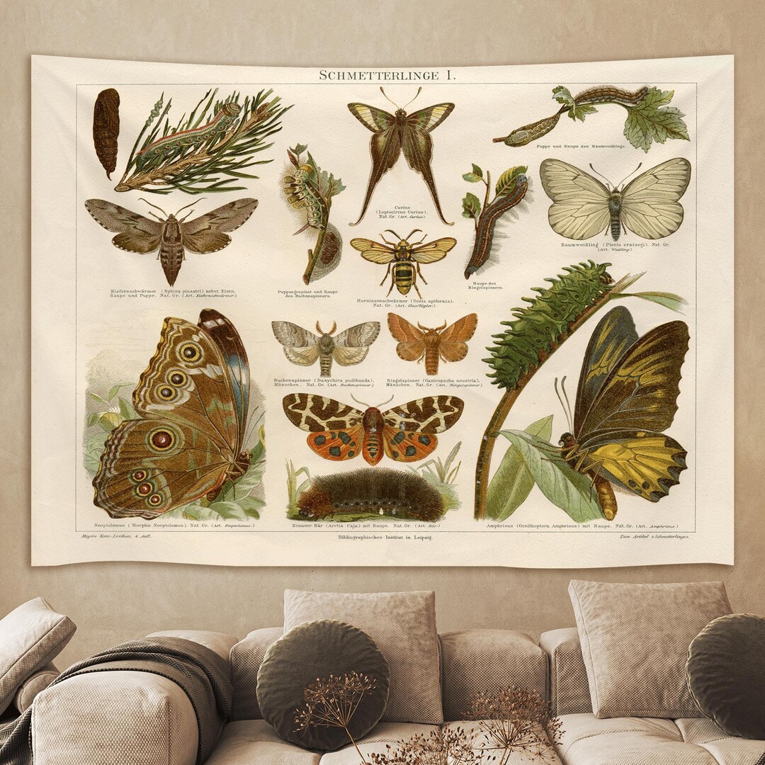 Retro Butterflies Collection Tapestry, Moths Insects Butterflies ...