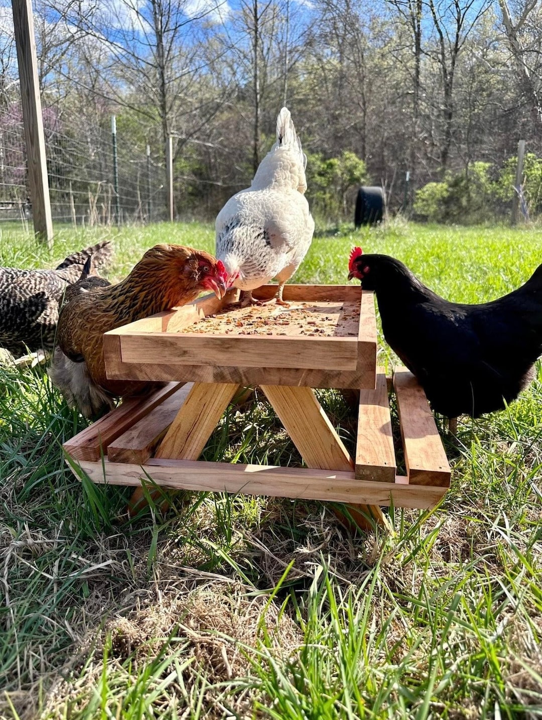 Chic-nic Table for Chicken Feed Maple, Walnut, or Oak Handmade Table ...