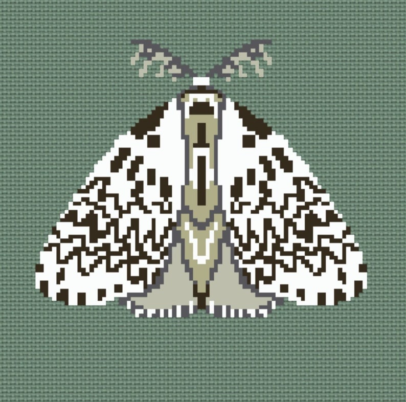 Moth Cross Stitch Pattern - Etsy