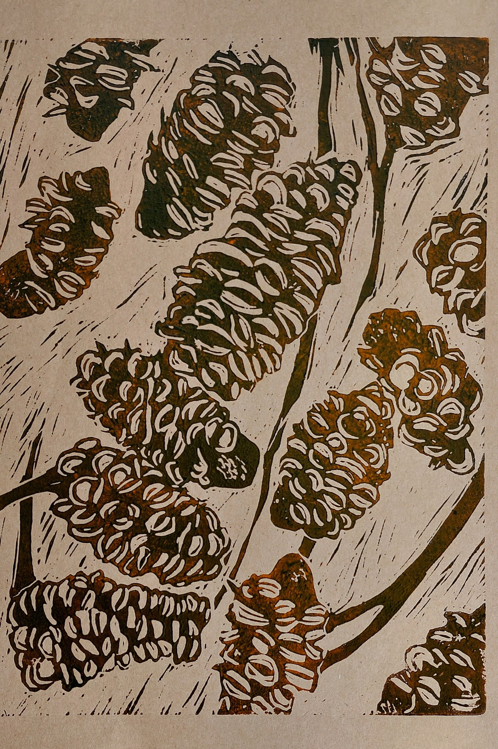 Lino Cut. Banksia. Original and Hand Cut Print. Australian and ...
