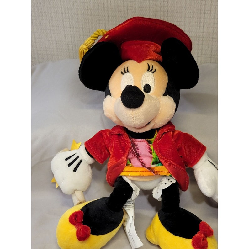 Disney Minnie Mouse Graduation Plush Doll - Etsy