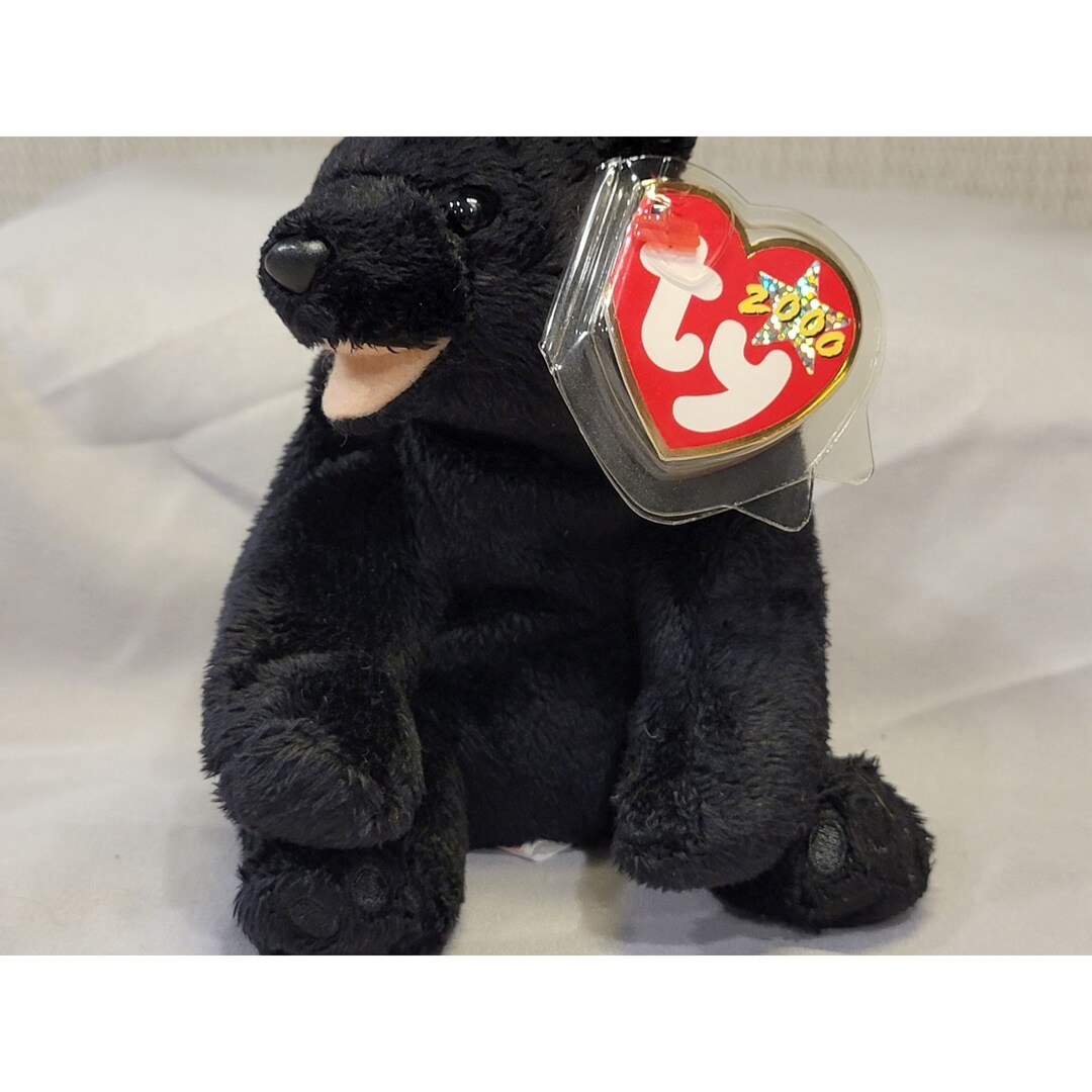 Cinders", the Black Bear Beanie Babie. Date of Birth - April 30, 2000 ...