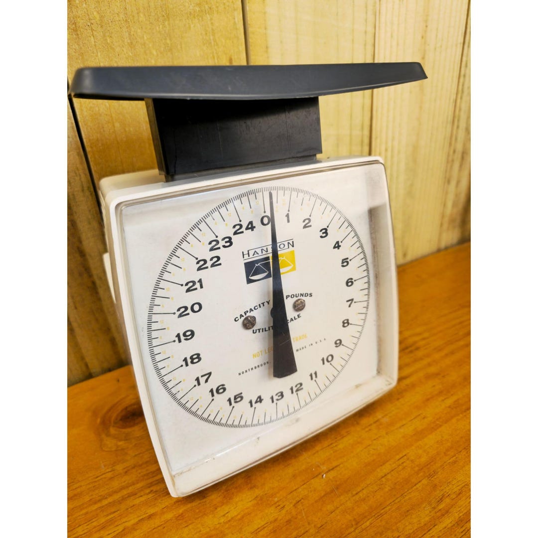 Hanson Vintage Utility Scale White & Black 24 Lb Capacity With Cracks ...