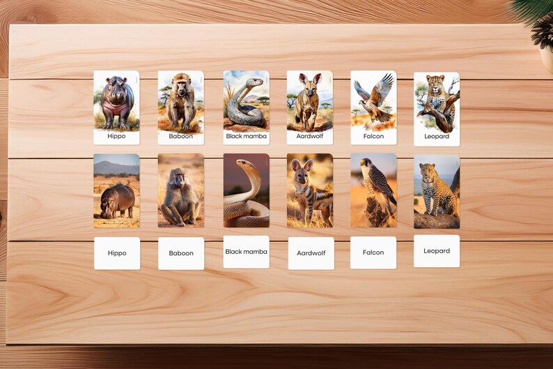 Savanna Animals Flashcards for Kids Montessori Three Part Cards With ...