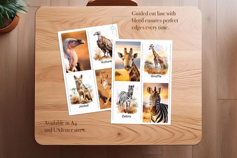 Savanna Animals Flashcards for Kids Montessori Three Part Cards With ...