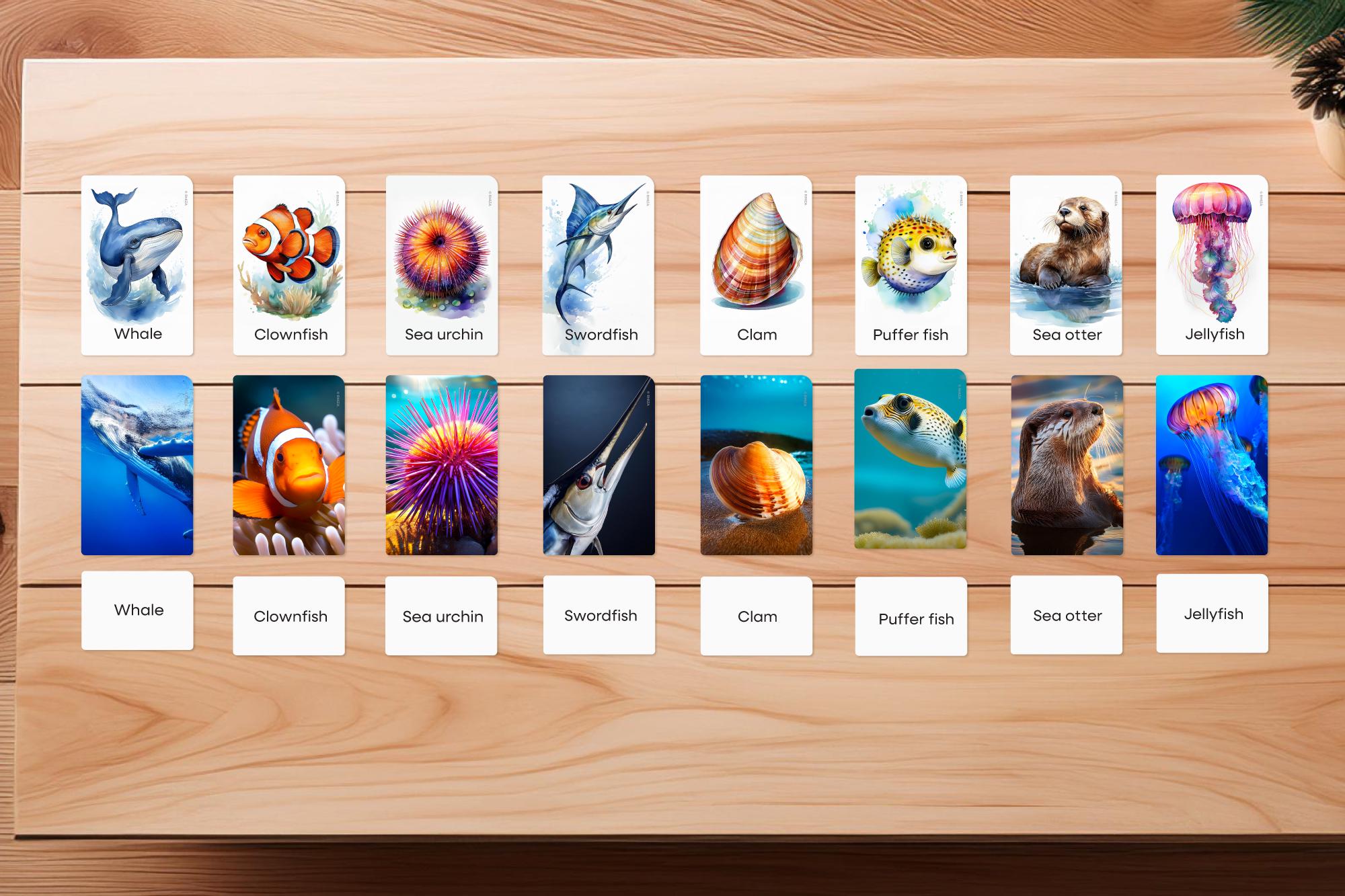 22 Sea Animals Montessori Flashcards, Three Part Cards, Feature Real ...