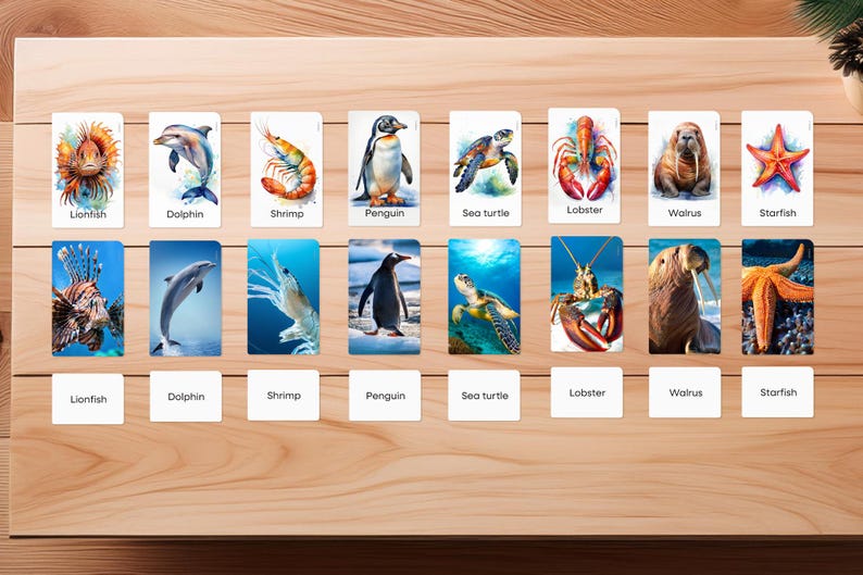 Sea Animals Flashcards for Kids Montessori Three Part Cards With Real ...