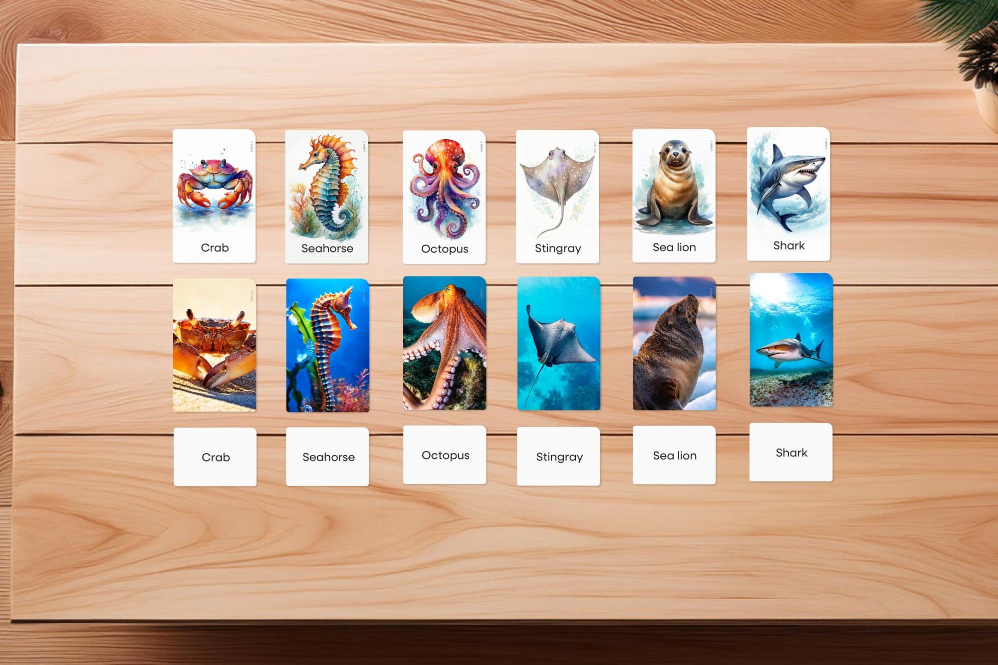 22 Sea Animals Montessori Flashcards, Three Part Cards, Feature Real ...